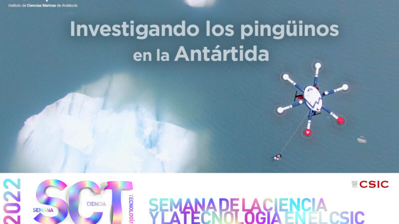 Semana de la Ciencia en el ICMAN-CSIC - Semanas de la Ciencia en Andalucía