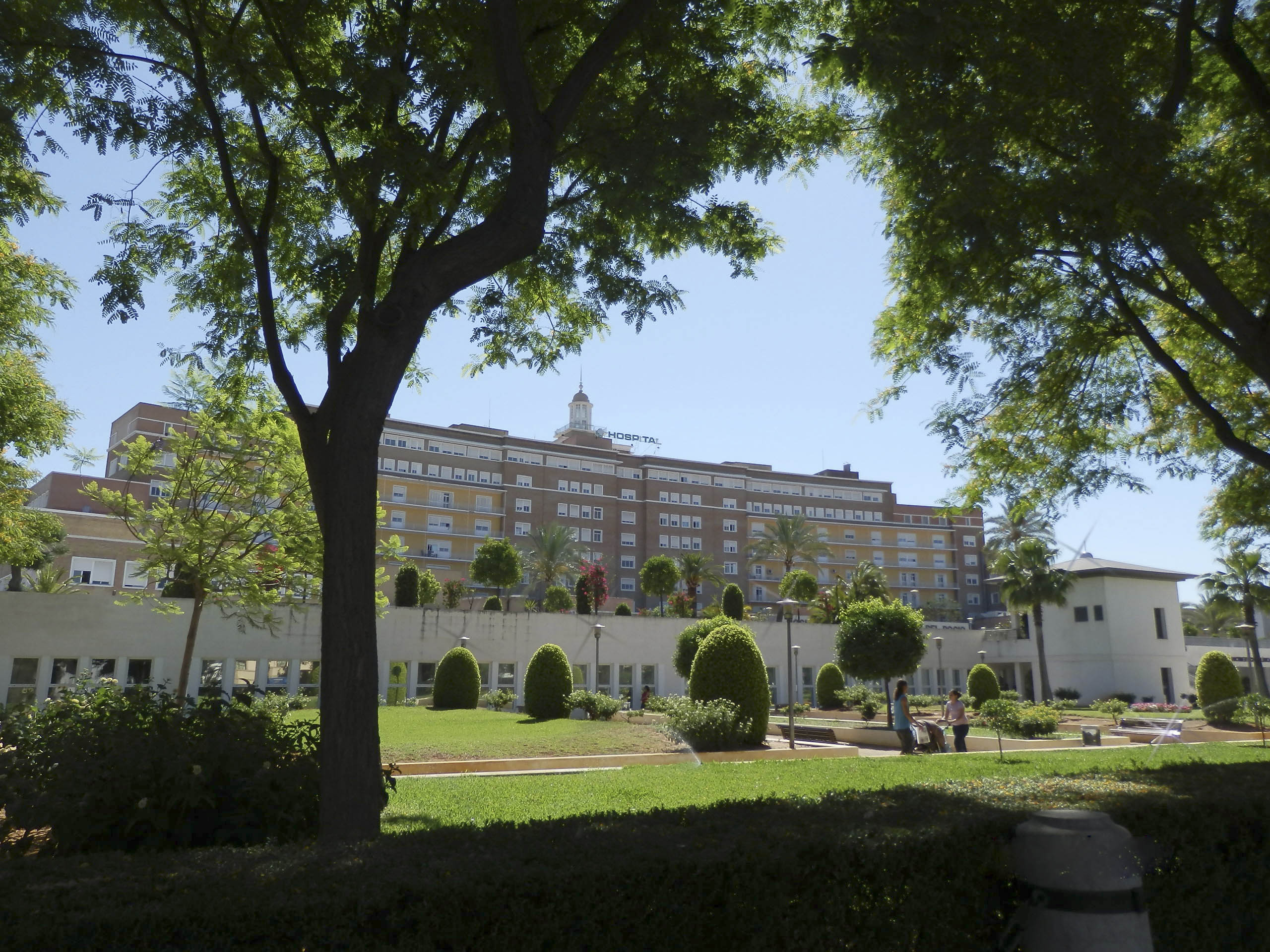 Semana de la Ciencia del Nodo Provincial Sevilla del Biobanco del ...